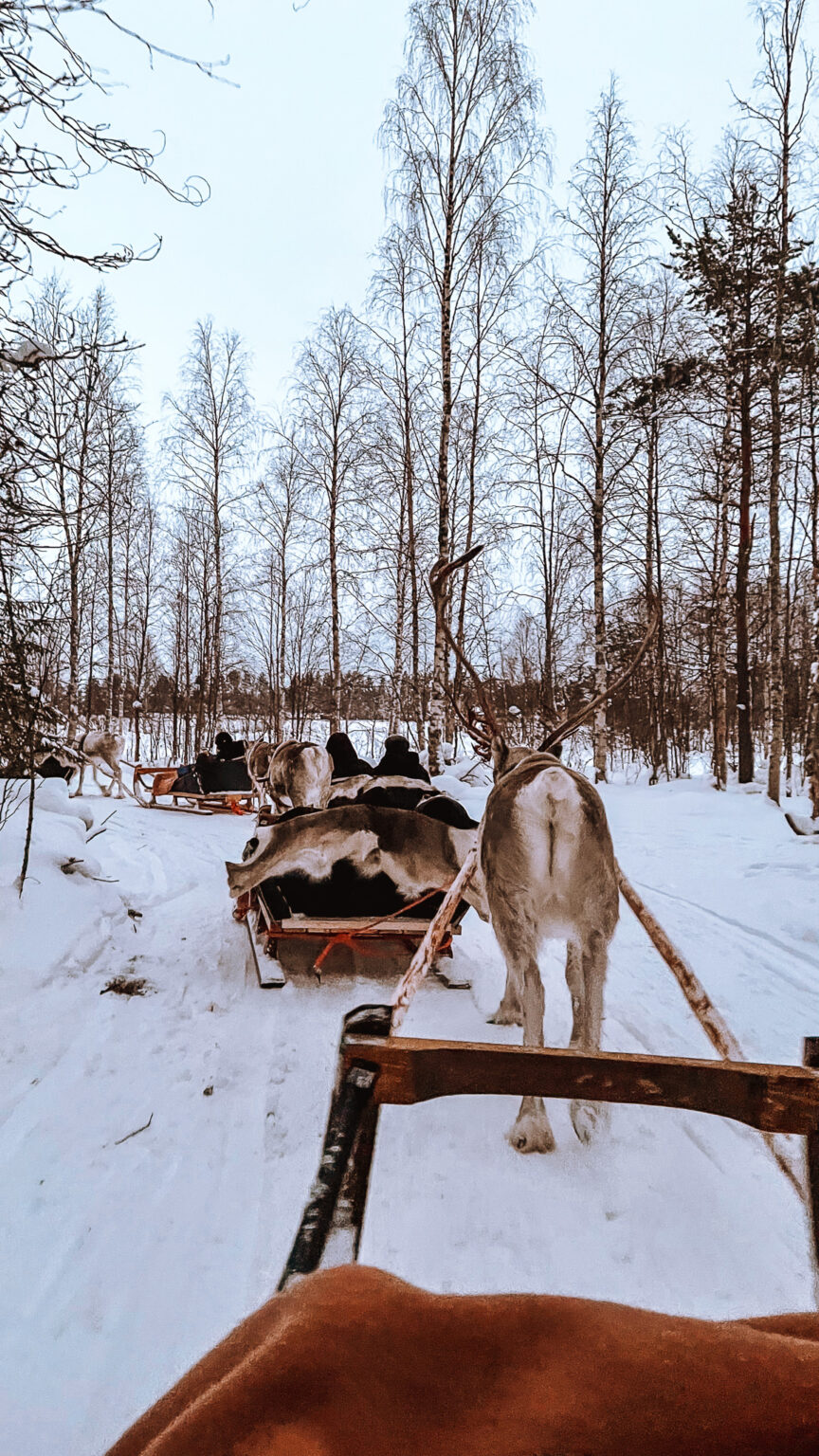 Experience Arctic Luxury at Apukka Resort in Rovaniemi
